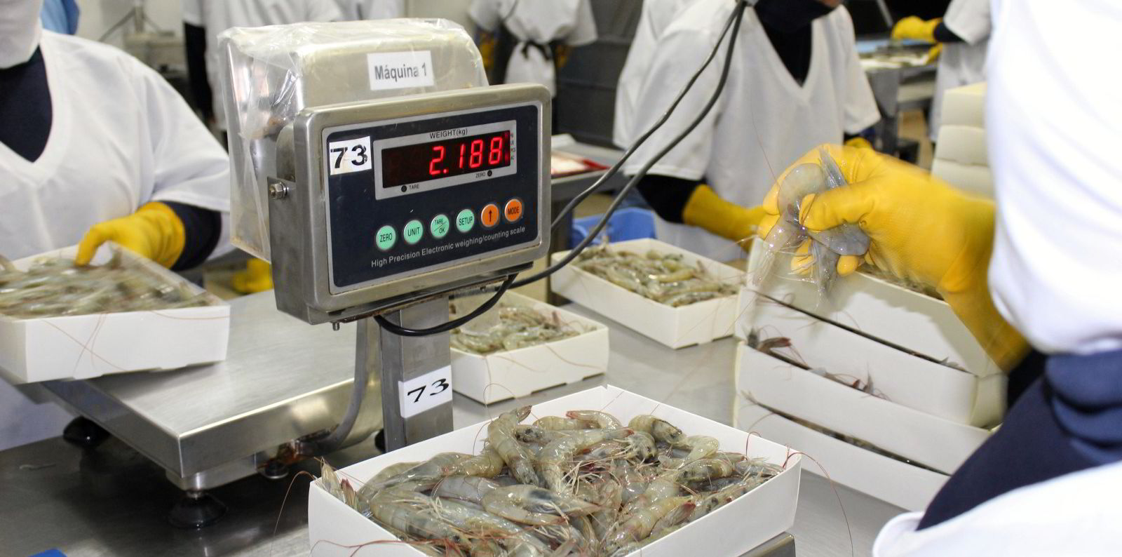 Demand in US, China lift Ecuador shrimp exports to record-high January ...