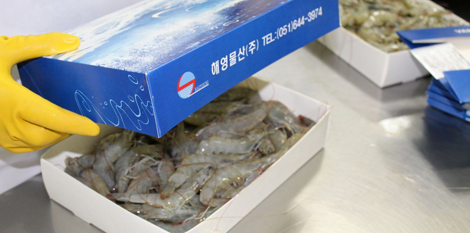 Ecuador's farmed shrimp exports surge to record monthly high ...