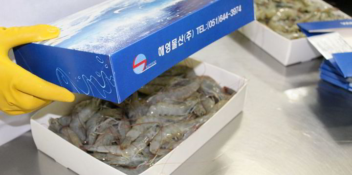 Ecuador's farmed shrimp exports surge to record monthly high ...