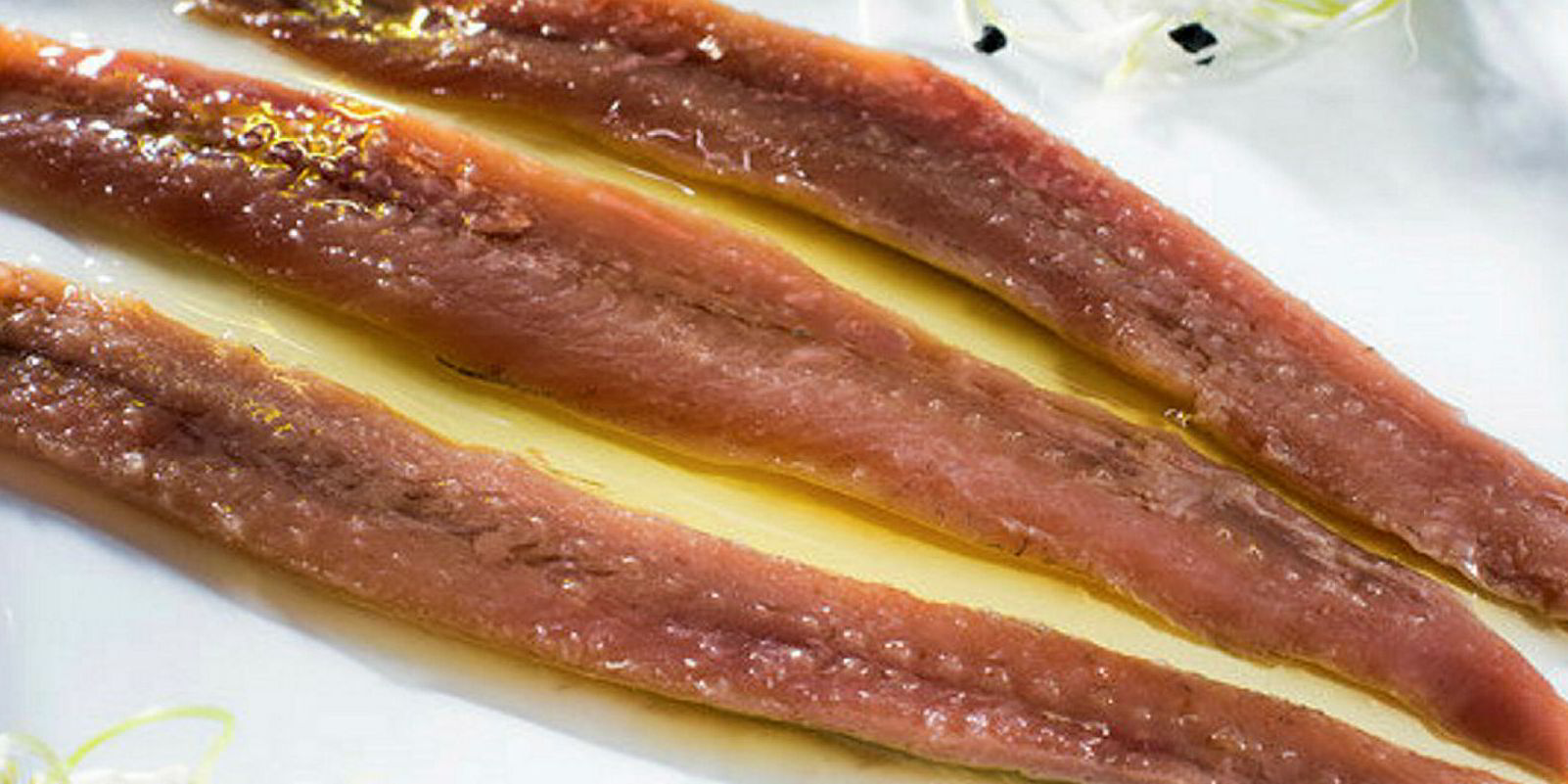 Peru sets anchovy TAC for direct human consumption | IntraFish.com