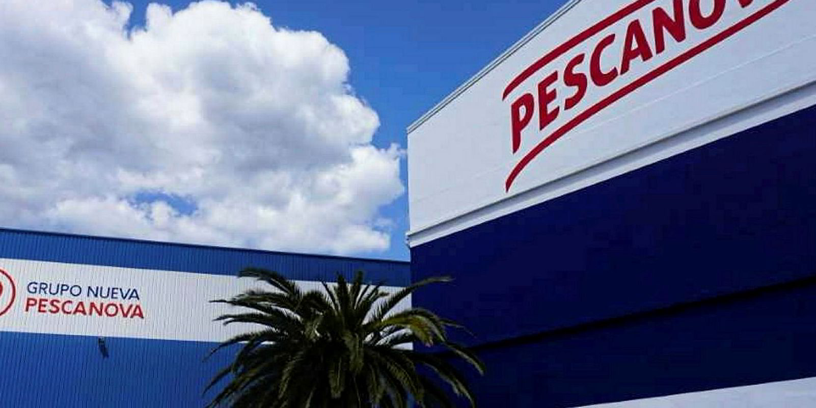 Nueva Pescanova raises India shrimp processor stake to 45% | IntraFish.com