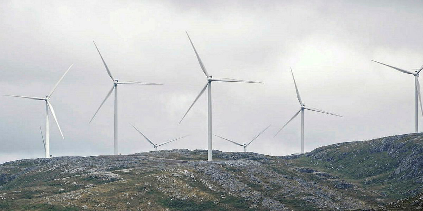 Skal drifte Roan Vindpark | Europower