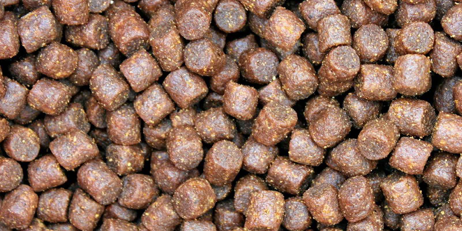 Skretting participates in EU aquaculture enhancement project ...