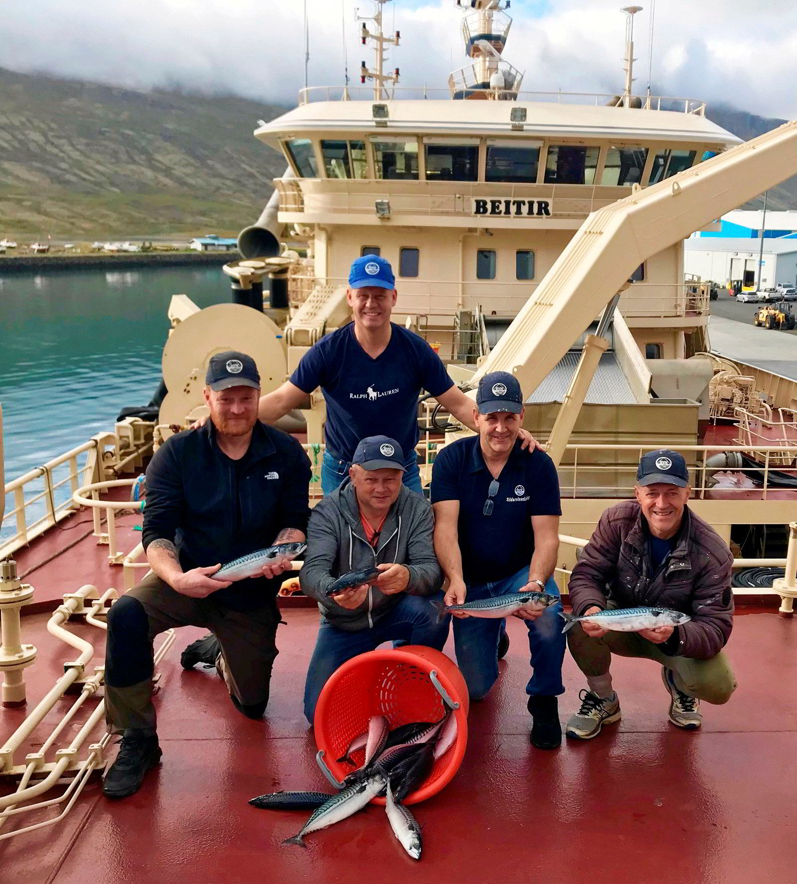 Islandsk jubel over stor makrell | Fiskeribladet