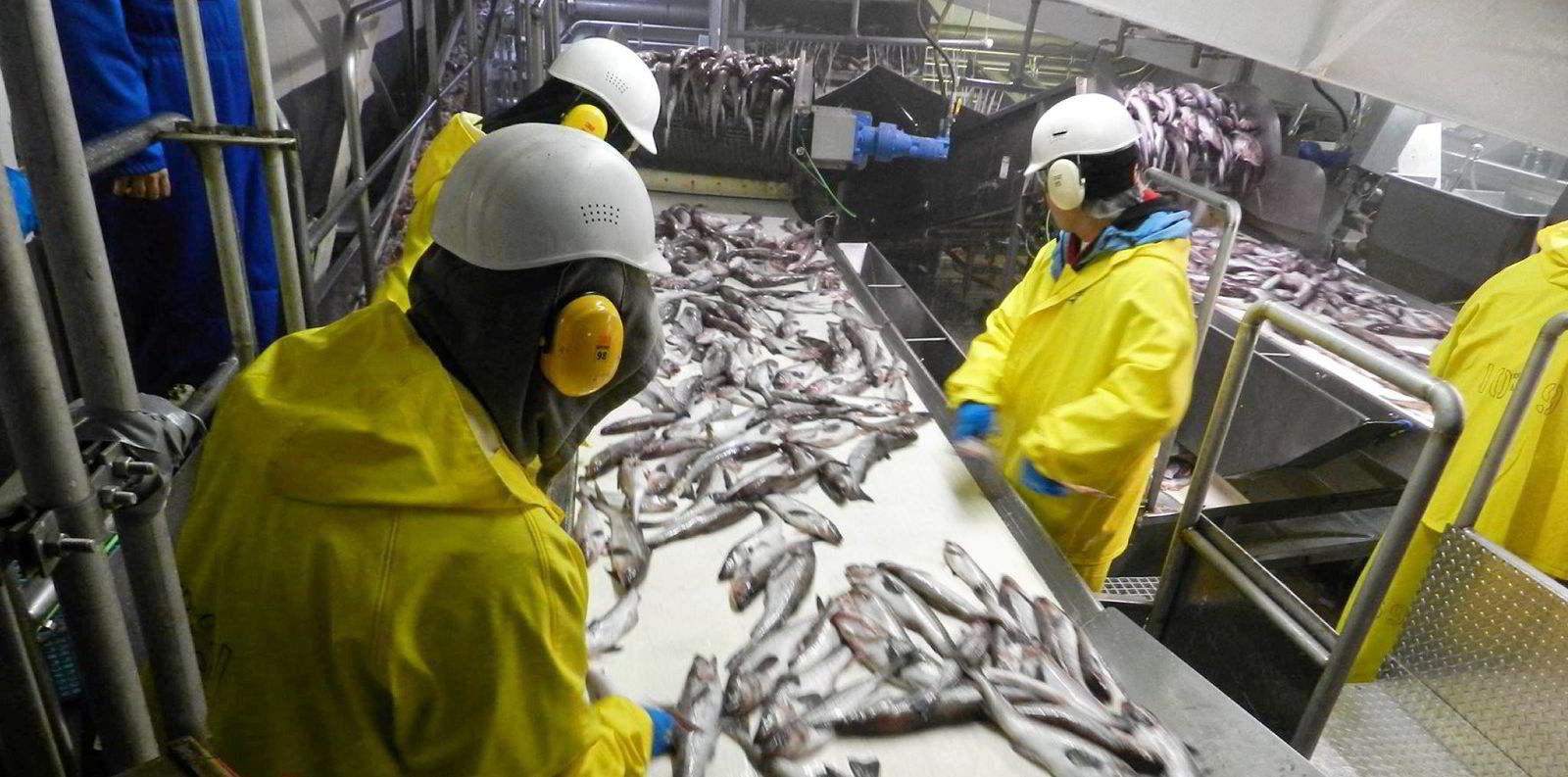 Alaska pollock plants operating at or near capacity as production ramps ...