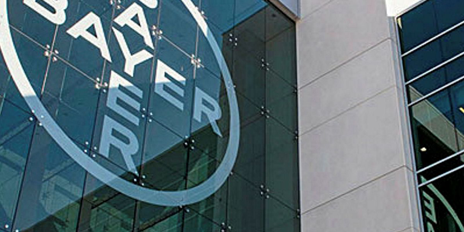 Here's why pharmaceutical giant Bayer wants in on the shrimp farming ...
