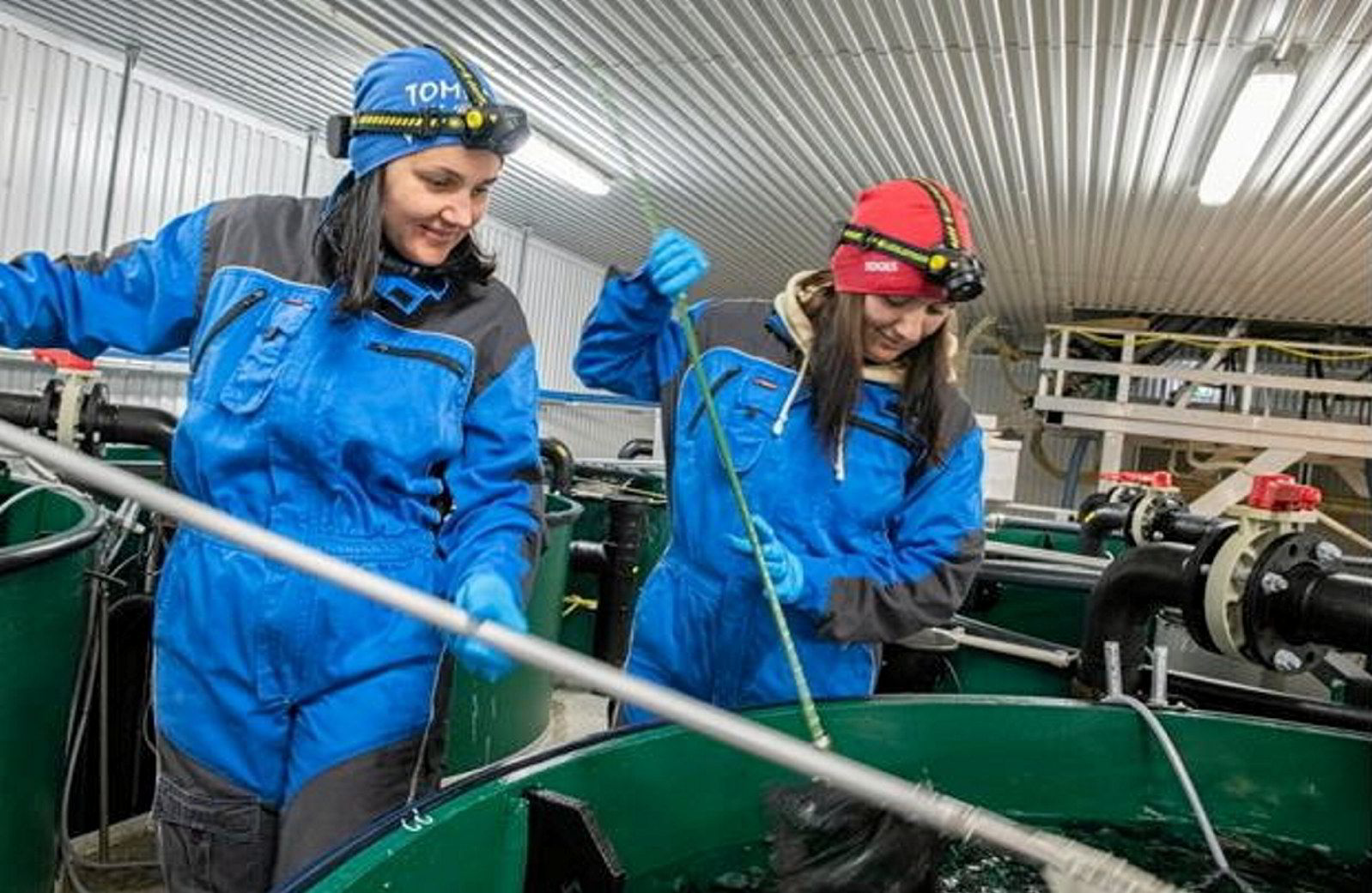 Kime Akva og Tomma Rensefisk forener krefter for nordnorsk satsing på ...