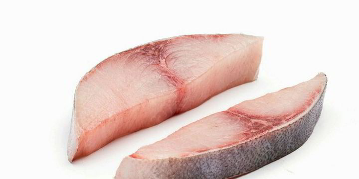Open Blue cobia debuting at more US retailers | IntraFish.com