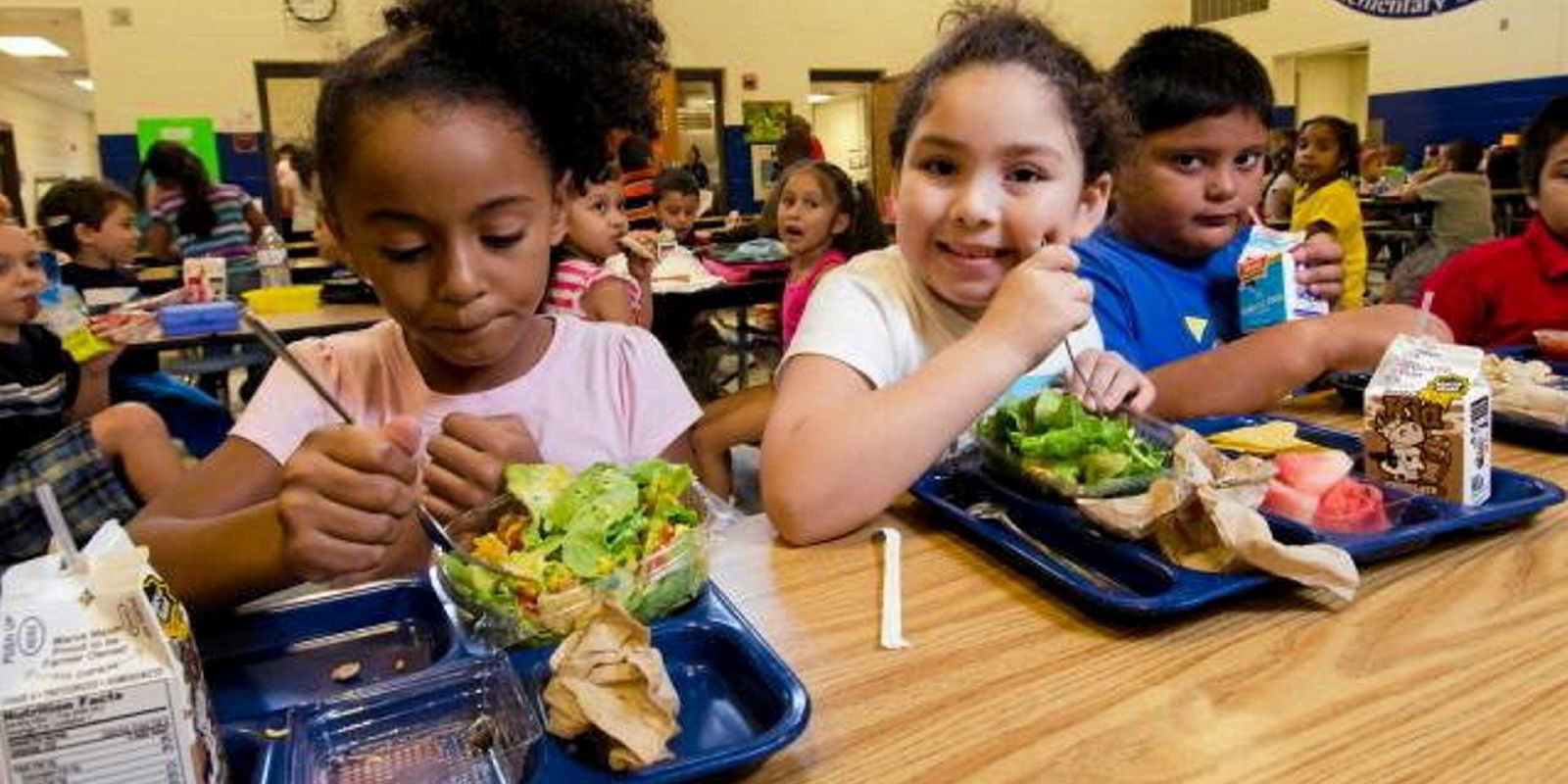Watchdog report on federal food purchasing shows US students eating ...