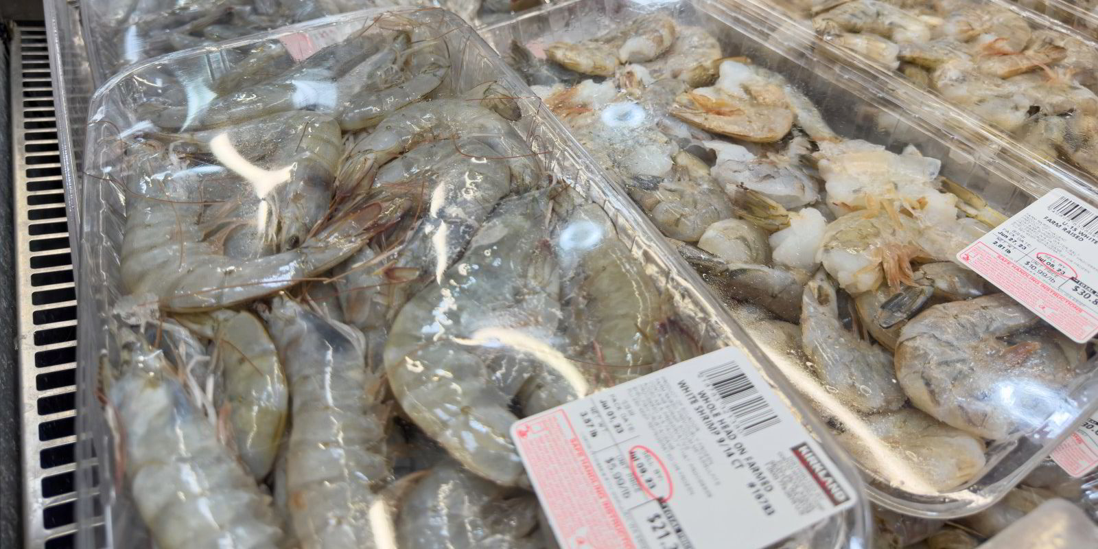 Global Shrimp Forum 2023: With no control over feed costs and no ...