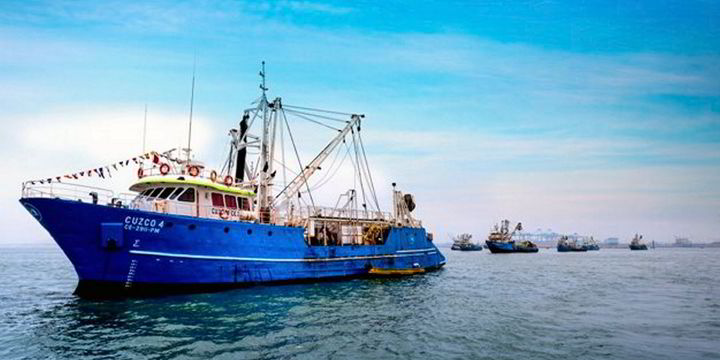 Aquaculture, fishmeal industries anxiously await pivotal Peru anchovy ...