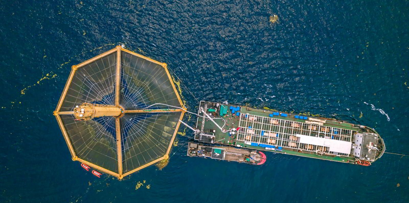 Chinese offshore salmon farm makes first commercial harvest | IntraFish.com