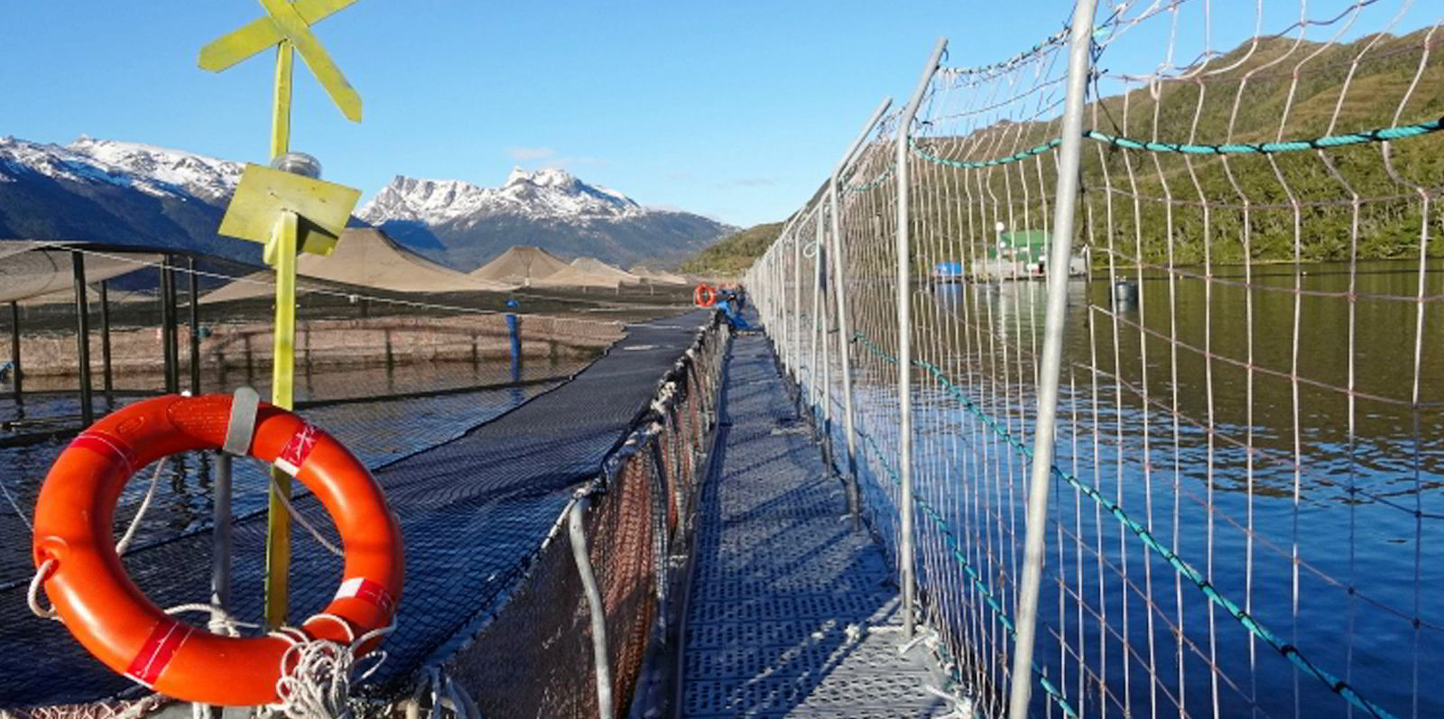 Australis Seafoods charged on 52 counts of overproduction | IntraFish.com