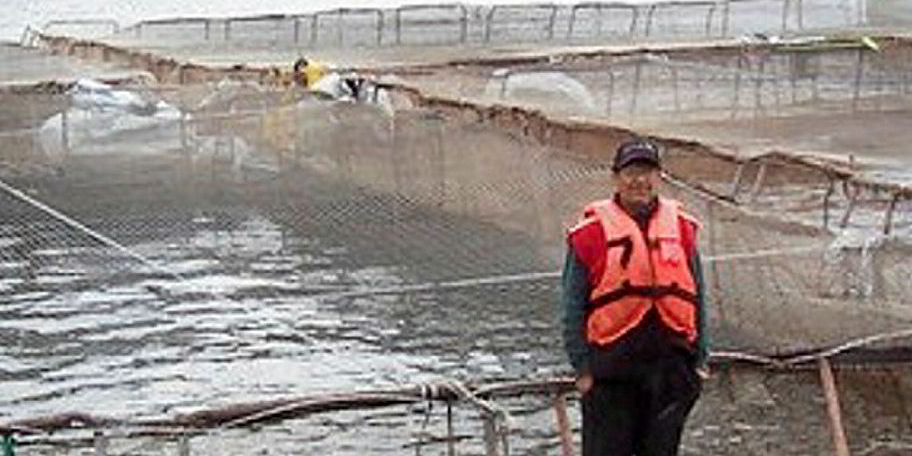 Chile speeds up salmon farm permitting process | IntraFish.com