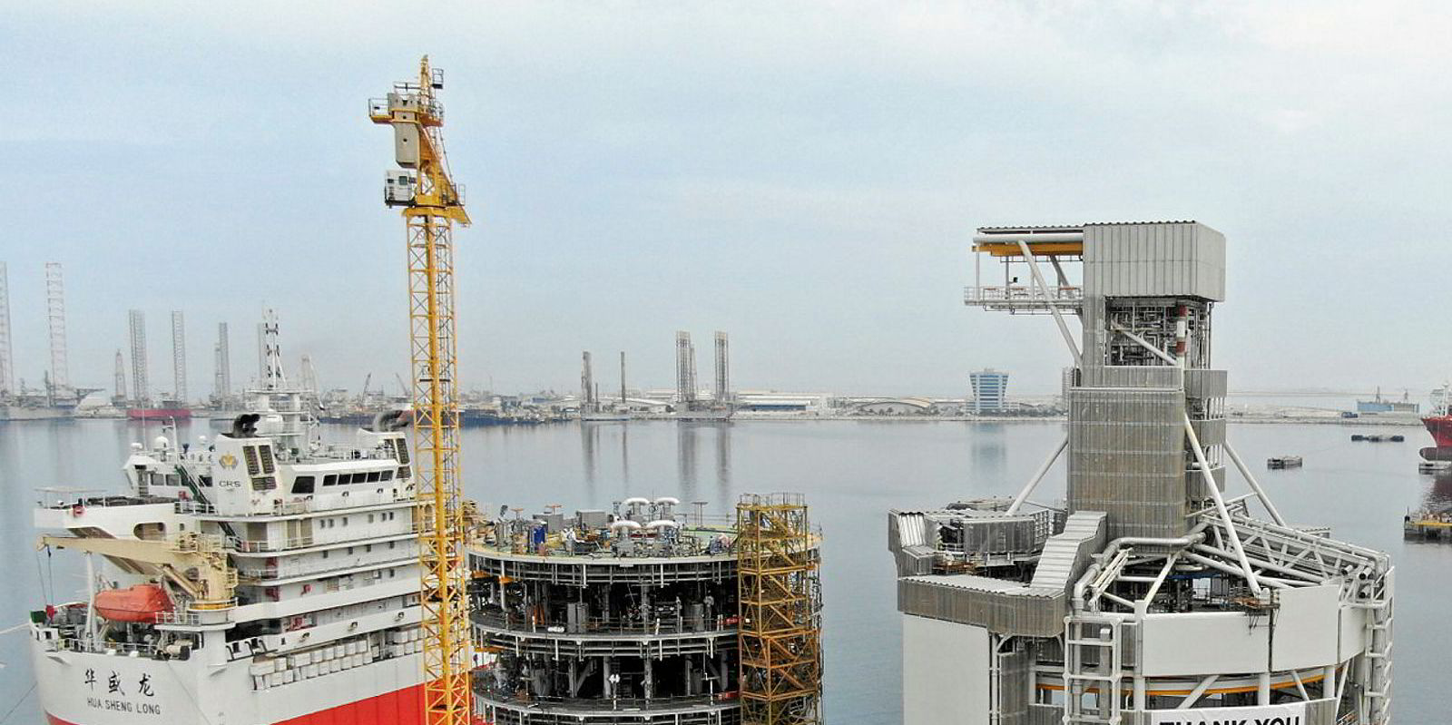 Long-term work helps Drydocks World bounce back from Covid | TradeWinds