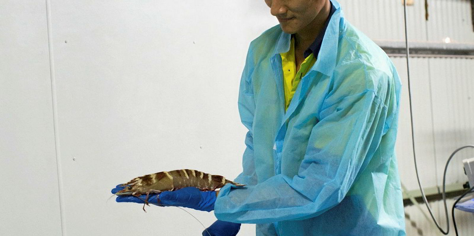 Nissui-backed Project Sea Dragon opens headquarters | IntraFish.com