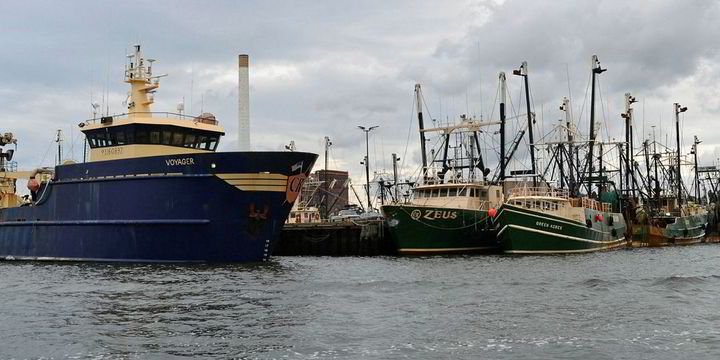 Quinn Fisheries acquires six of 'Codfather' Carlos Rafael's scallop ...