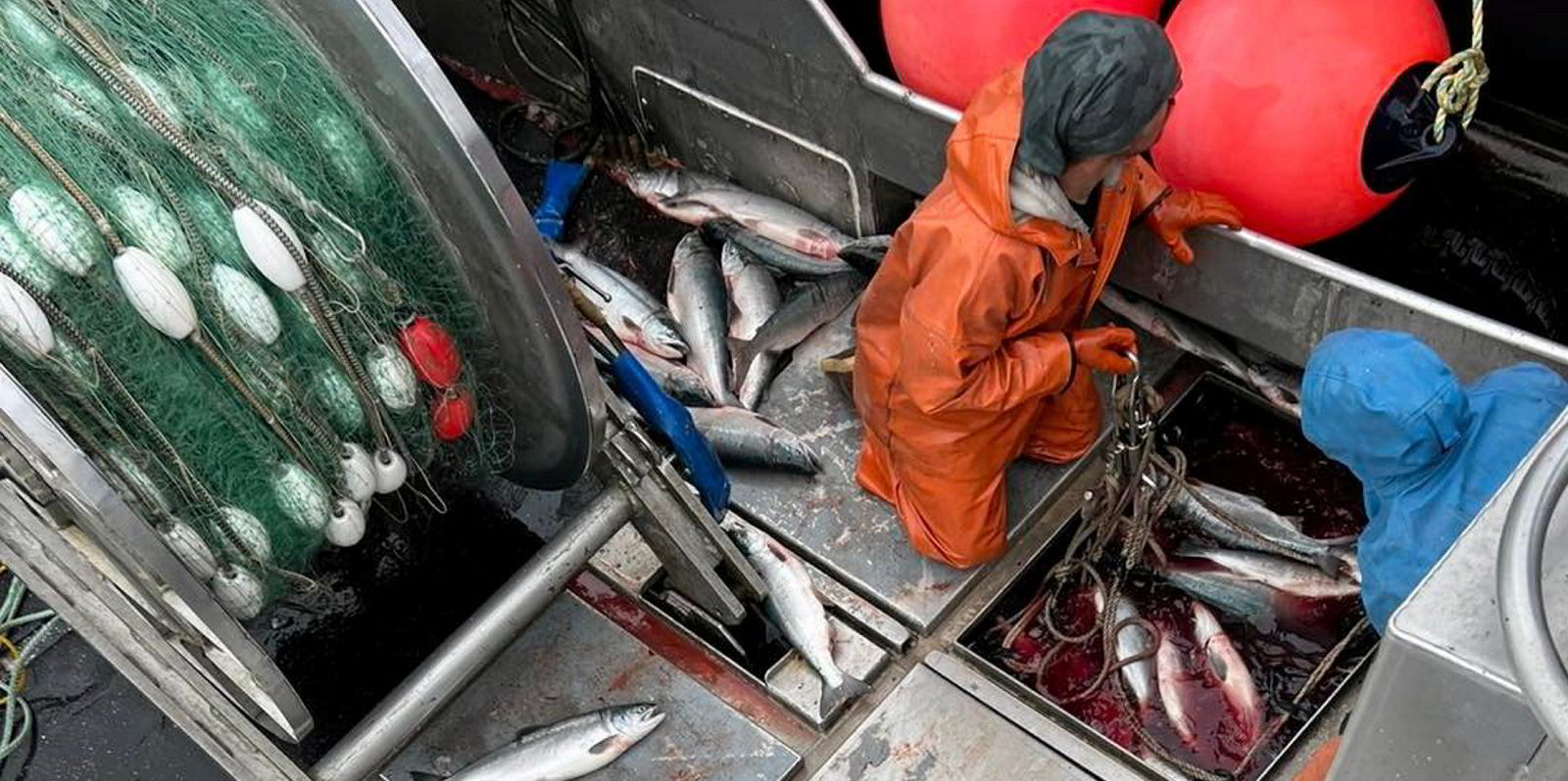 Bristol Bay fishermen outraged, call Alaska sockeye base price an 'epic failure' as season winds ...