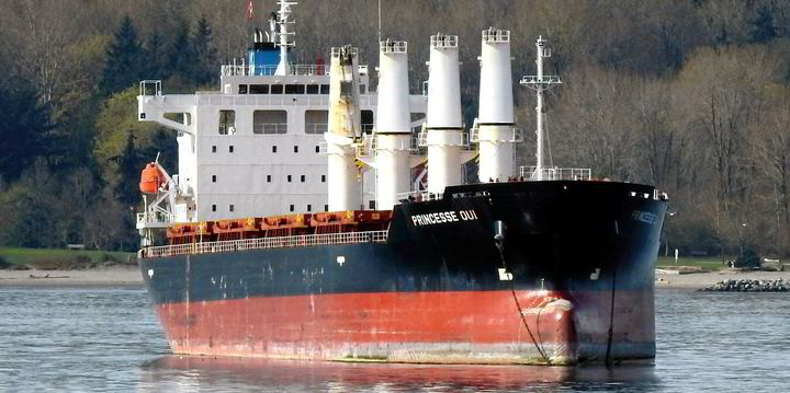 Brave Maritime bulker freed after three-month drug probe in Mexico ...