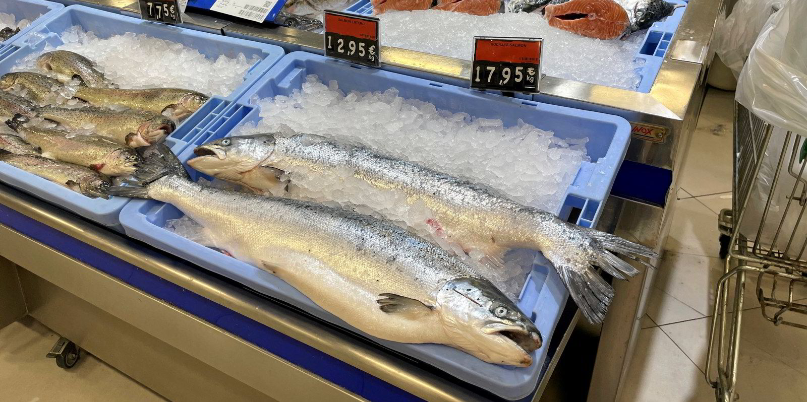 Lakseprisene faller videre | IntraFish.no