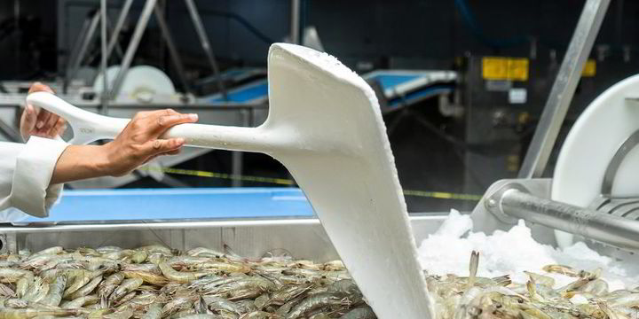 US government steps up trade actions against imported shrimp ...