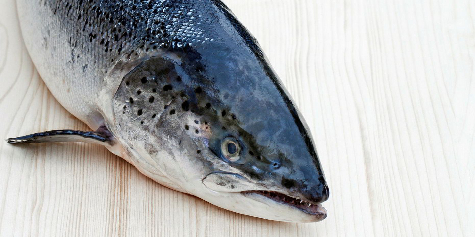 Atlantic Sapphire appoints new finance director | IntraFish.com