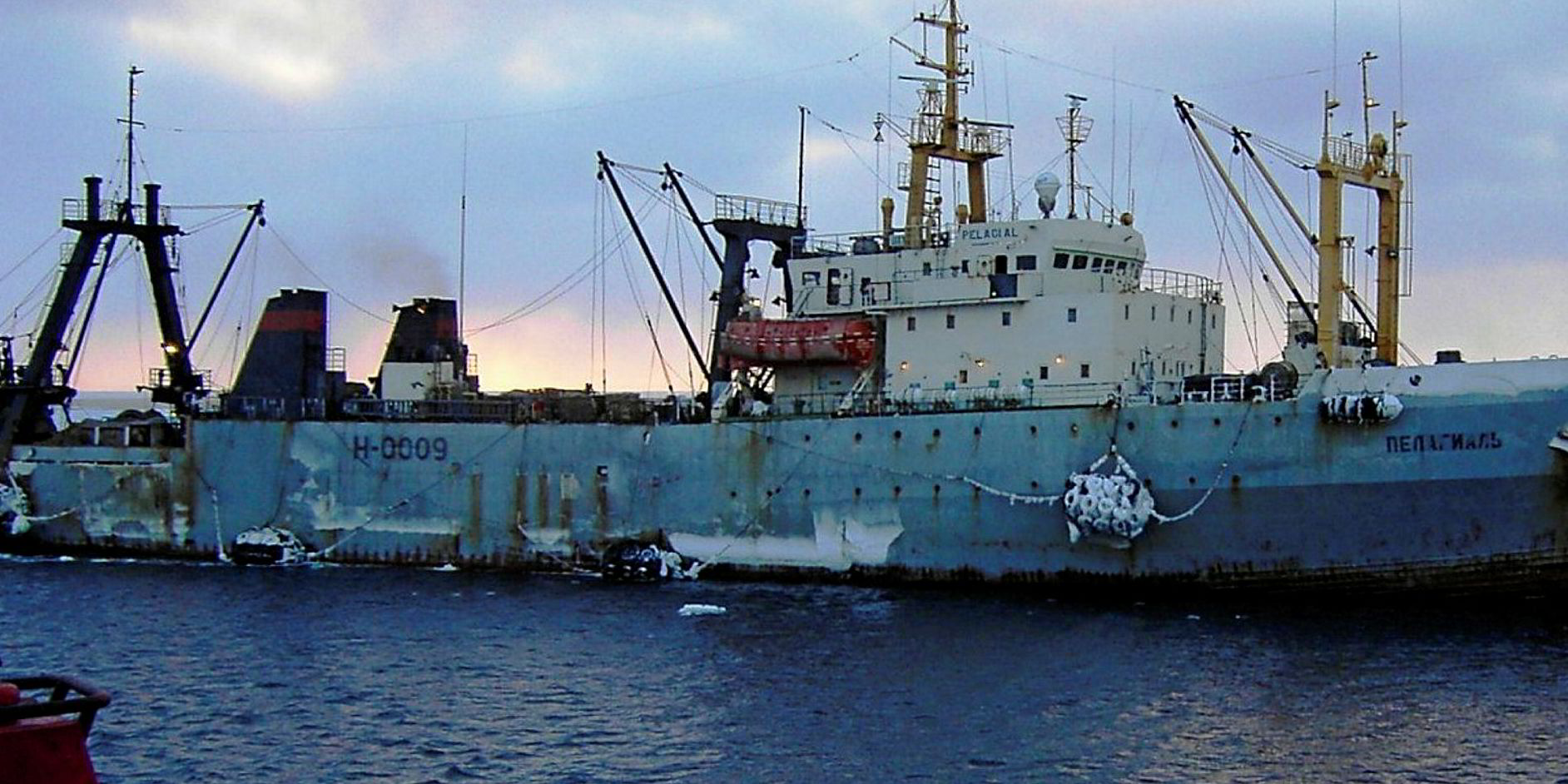 Russian scientists set strong outlook for South Kuril pollock stocks ...