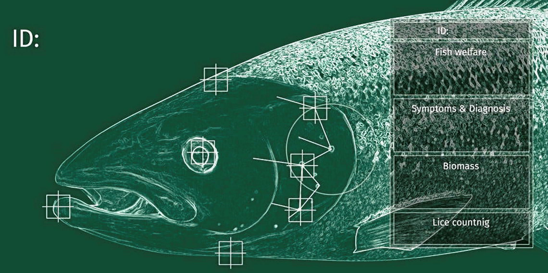 Cermaq to go ahead with $64 million facial-recognition salmon farm ...