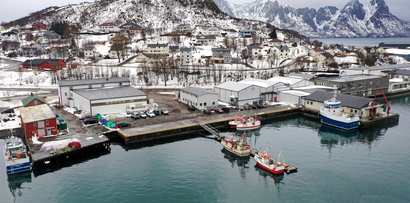 Vesterålen Havbruk skal slakte inntil 10.000 tonn torsk for Norcod ...