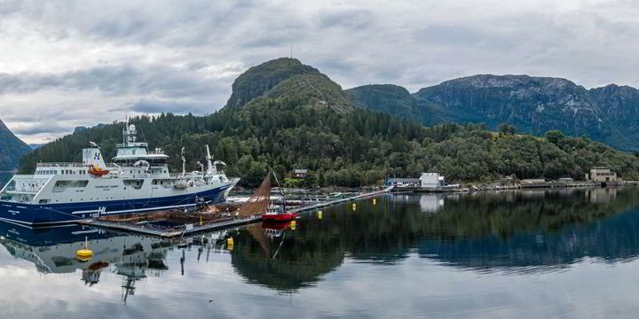 Feed giant Cargill invests more than $1 million in Norwegian research ... Feed giant Cargill invests more than $1 million in Norwegian research ...