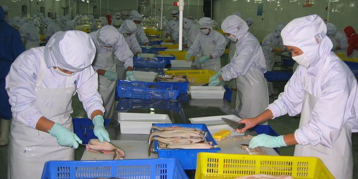 Is cod processing leaving China? | IntraFish.com