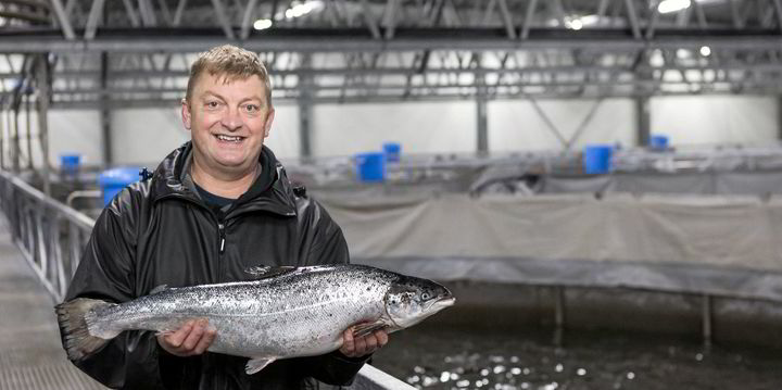 Marubeni, Nissui-backed land-based farmer Danish Salmon reverses losses ...