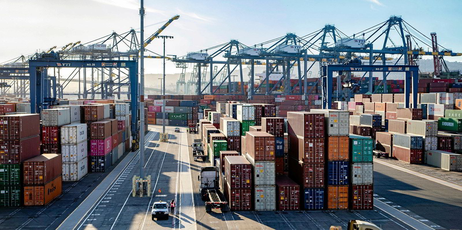 Freight buyers alliance with Amazon, Ikea and more asks container lines ...