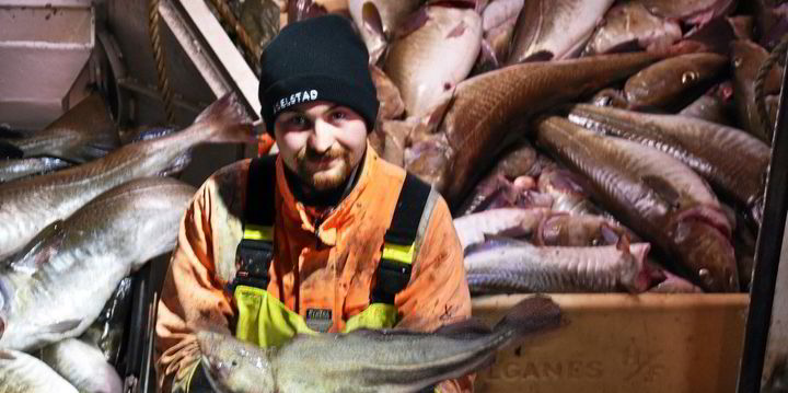 A fisherman caught what he suspected was an escaped farmed cod. The lab ...