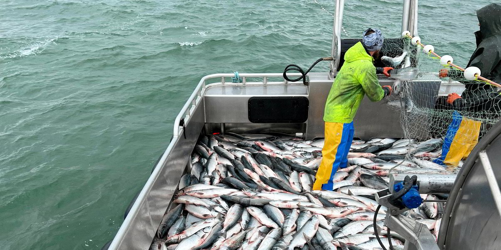 Trident Seafoods CEO Joe Bundrant blames 'rate and pace at which ...