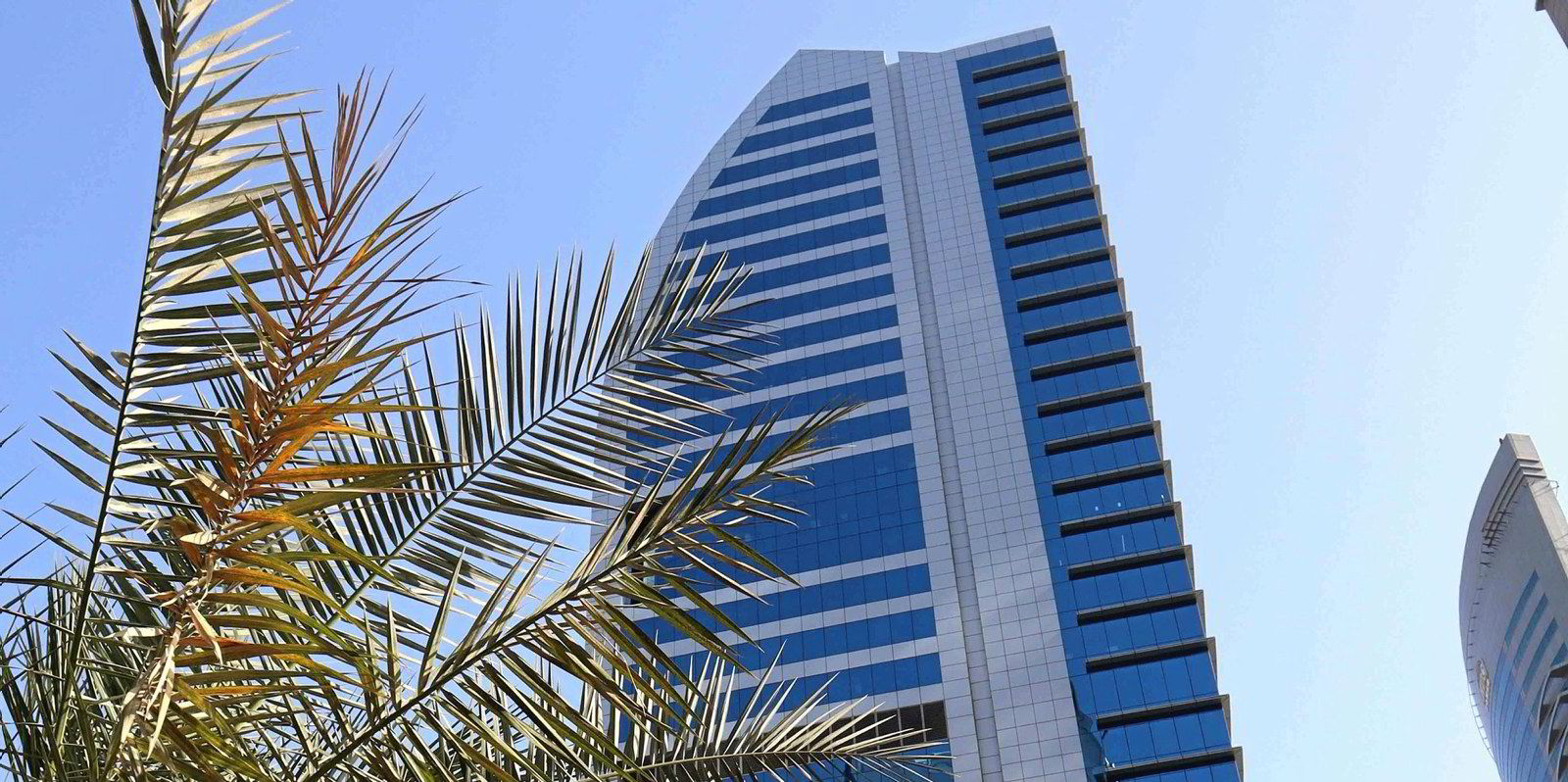 KCC opens up in Dubai as it targets more Asian and African business ...