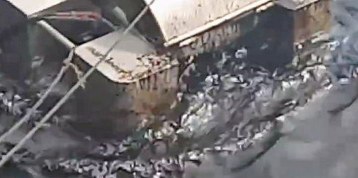 Crew rescued but fuel spilt as new tanker sinks off Philippines ...