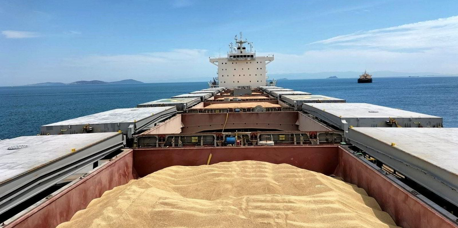 Bulker shipowners ‘taking any offer on the table’ as sales slow and ...