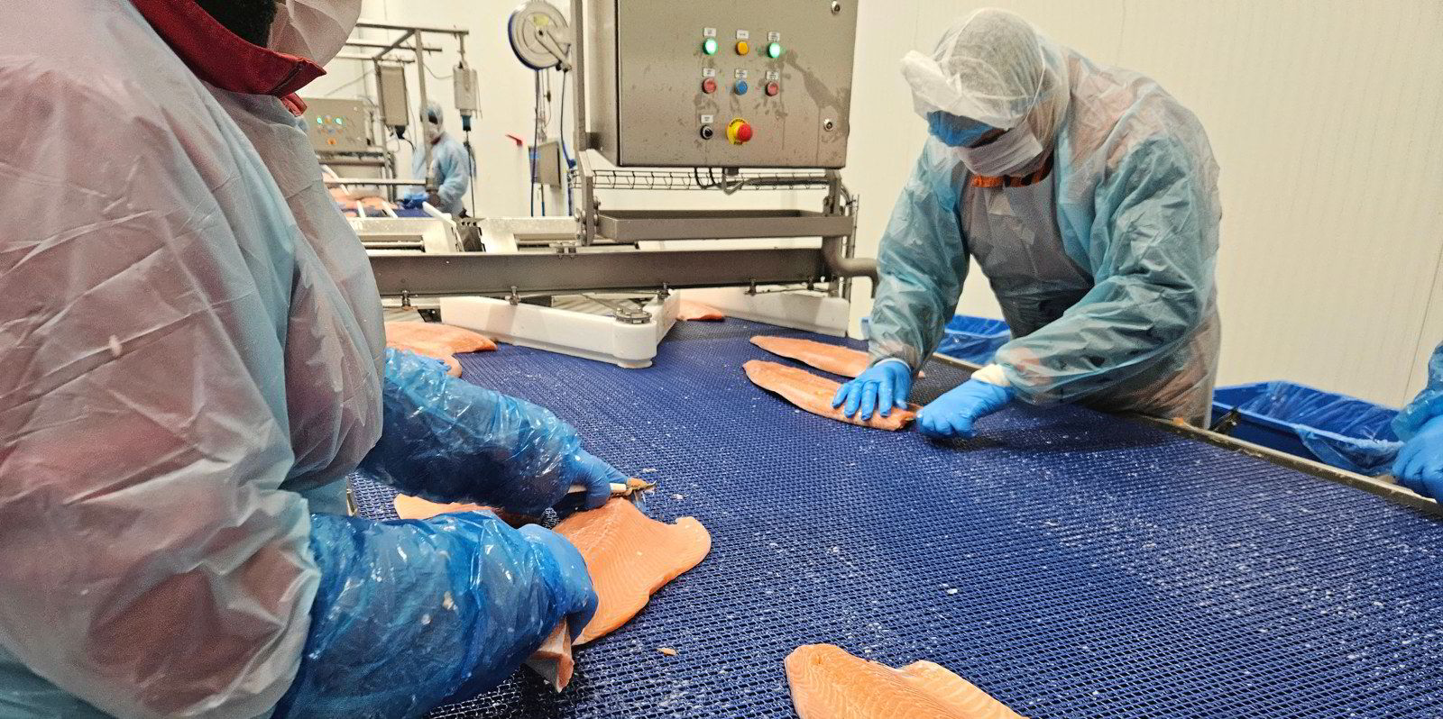 Ny filetfabrikk – skjærer laks fra kl. 07:00 til 23:00 | IntraFish.no