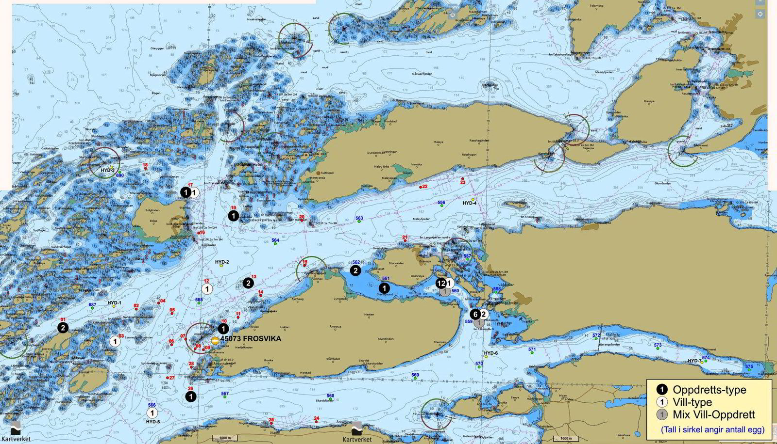Torskeoppdretteren Norcod: – Vi ønsker ikke å spekulere omkring de funn ...
