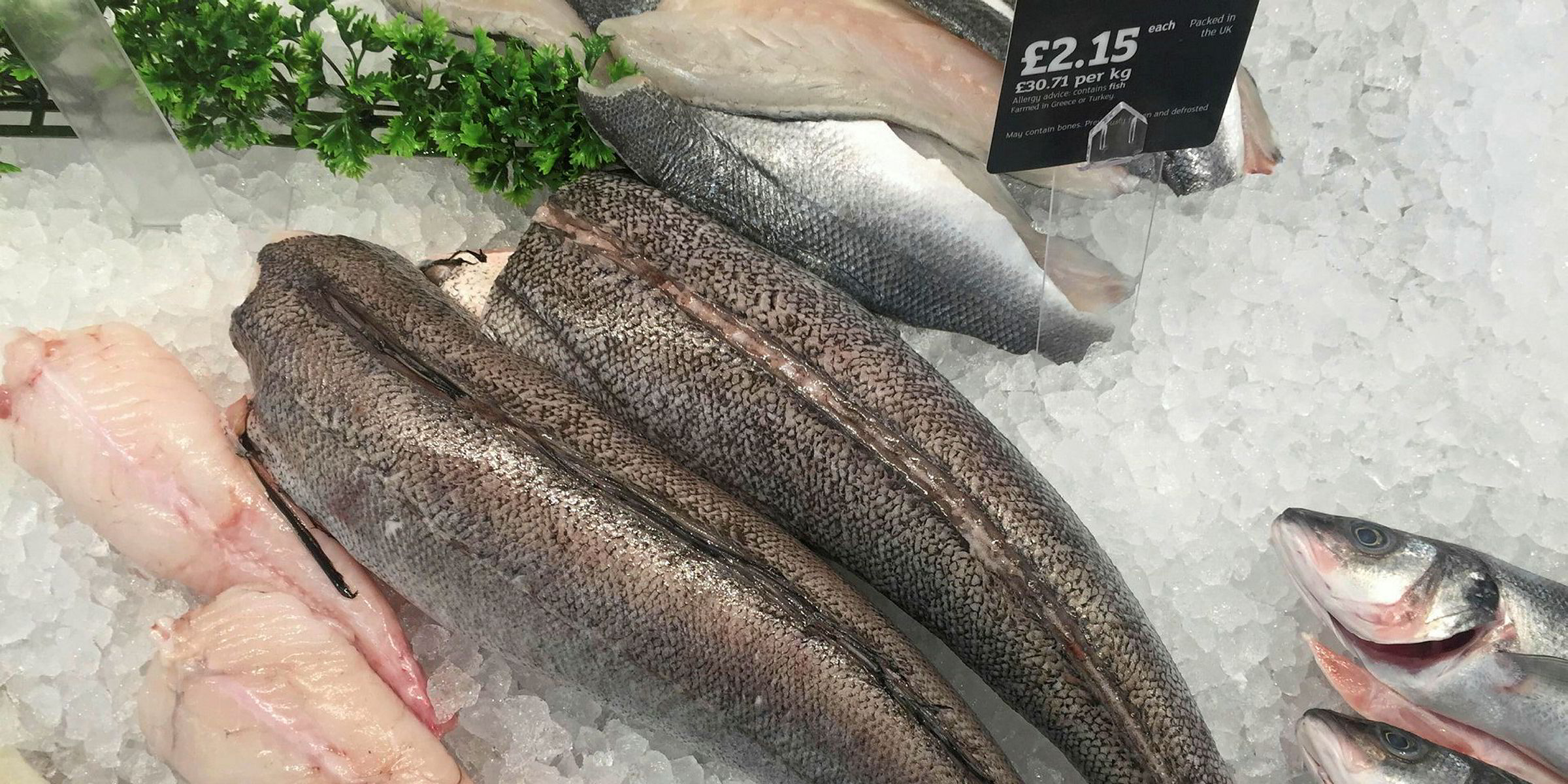 VIDEO: New Seafish film celebrates UK seafood industry | IntraFish.com