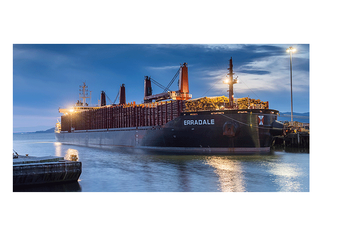 Swire Bulk opens Aussie desk | TradeWinds