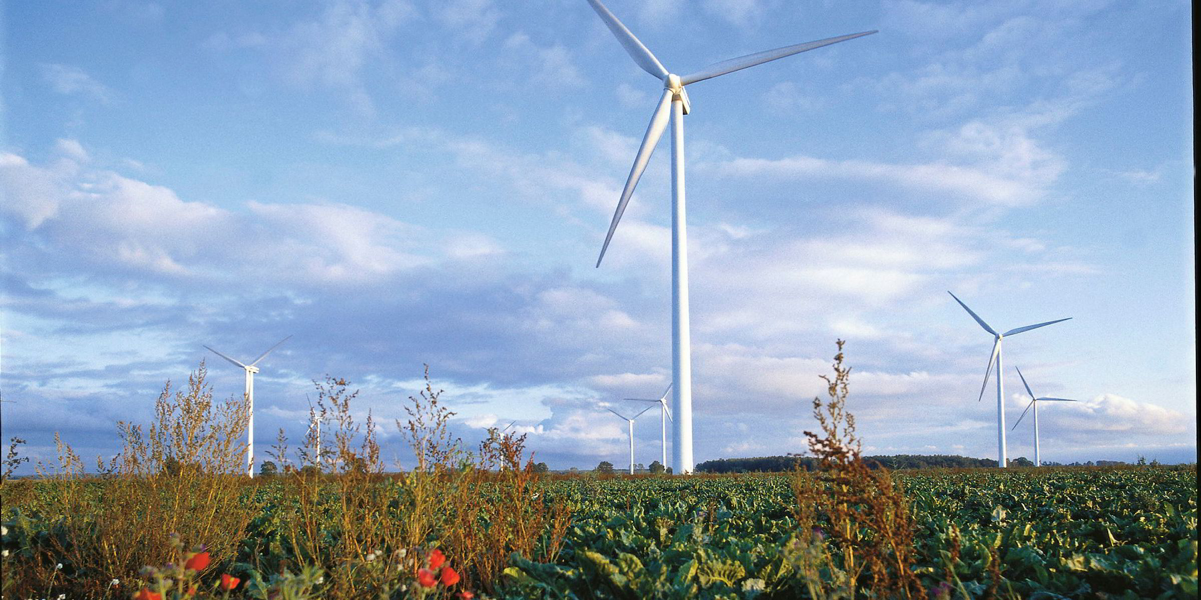 Vestas wins 132MW Polish turbine order from SWM | Recharge