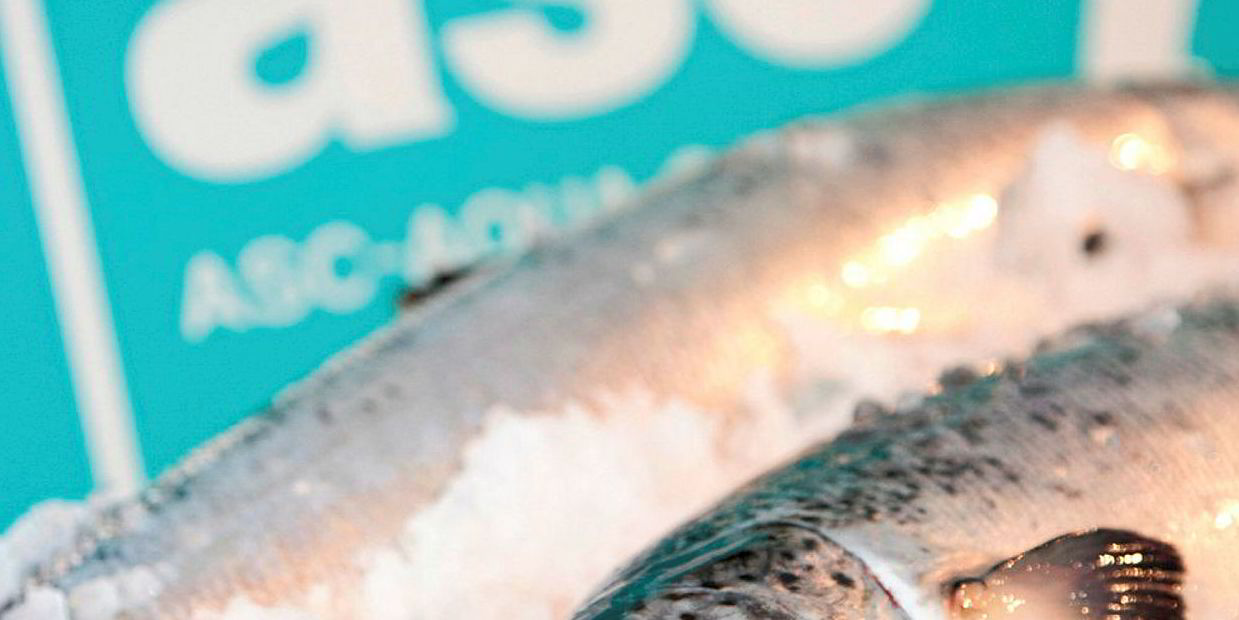 MSC, ASC were only seafood certifications to make this top eco-label ...