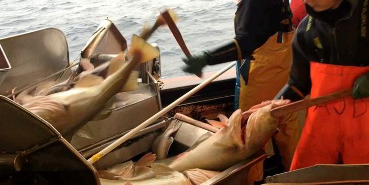 Russia’s longliners chase Marine Stewardship Council certification for ...