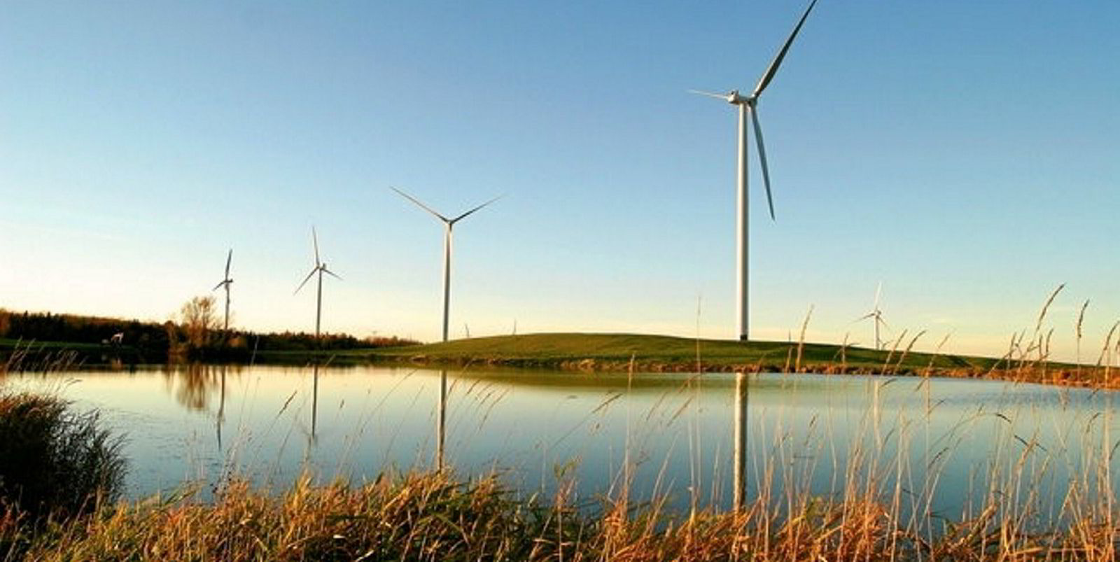 EDPR to raise $1.8bn to help finance massive renewables push | Recharge