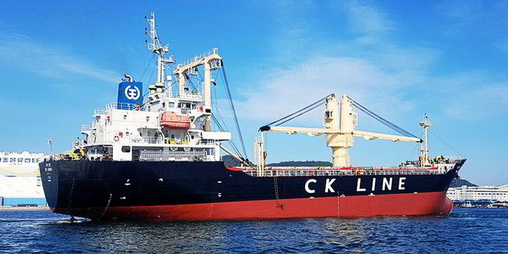 South Korean feeder owner CK Line places rare container ship order ...