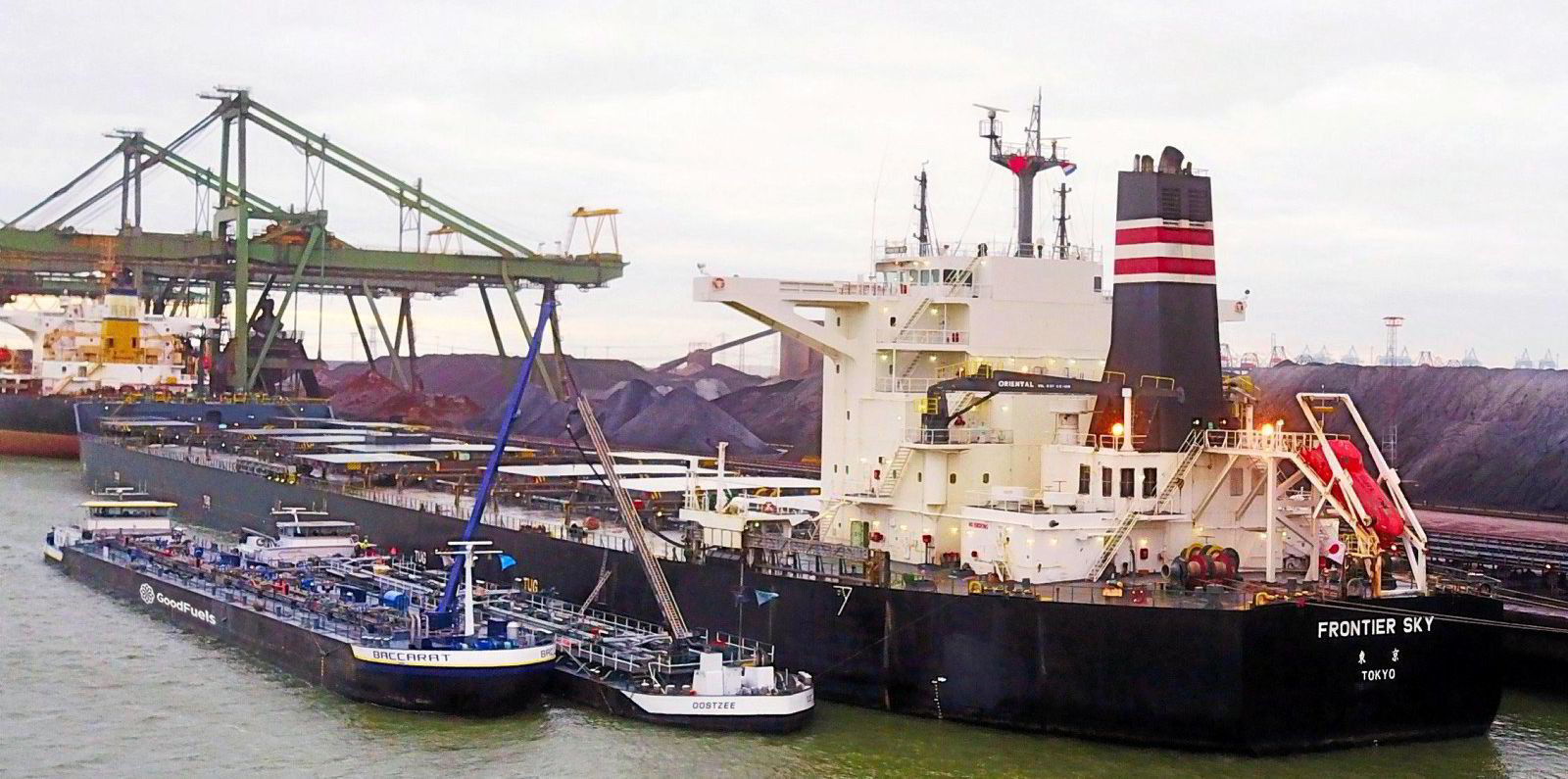 Bunker prices return to pre-pandemic levels as industry counts carbon ...