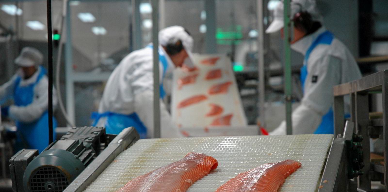 More cases of deadly ISA virus suspected at Yadran salmon sites in ...