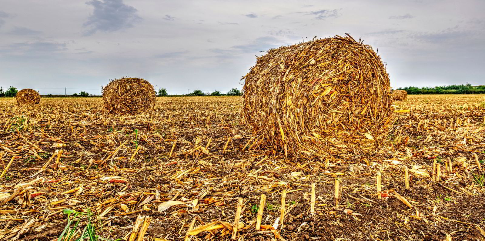 Climate saviours? The five leading carbon-negative solutions needed to ...